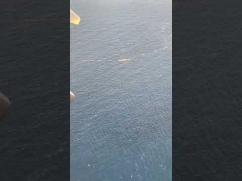 Does anyone know what this floating brown stuff in the ocean is? Near ...