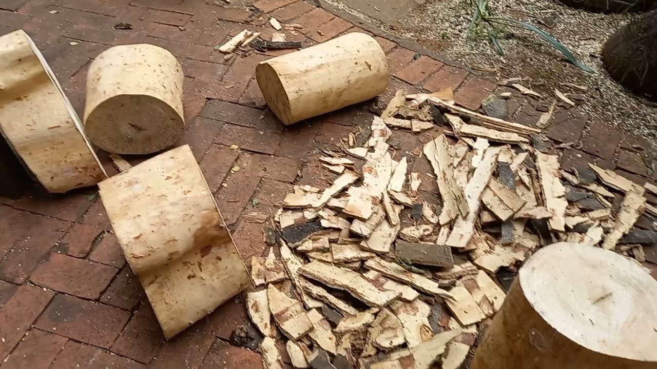 How do you debark a log by hand? - YouTube