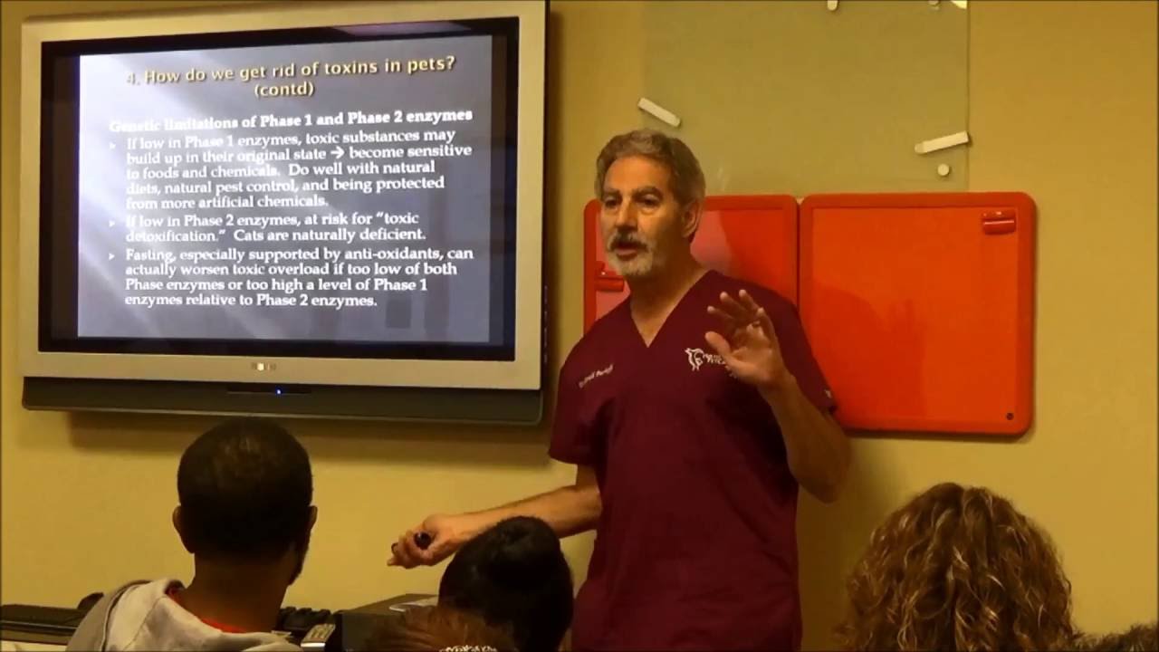 Wellness Matters Day Toxicity Dr. Gerald Buchoff, Holistic Veterinarian - YouTube