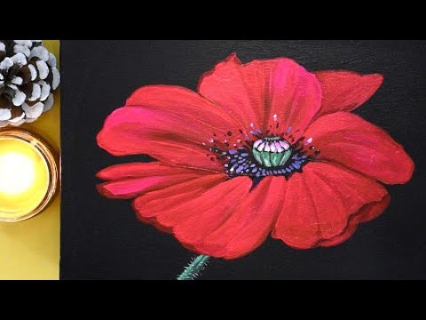 Lets paint a lovely Red Poppy Flower ️/ step by step relaxing tutorial ...