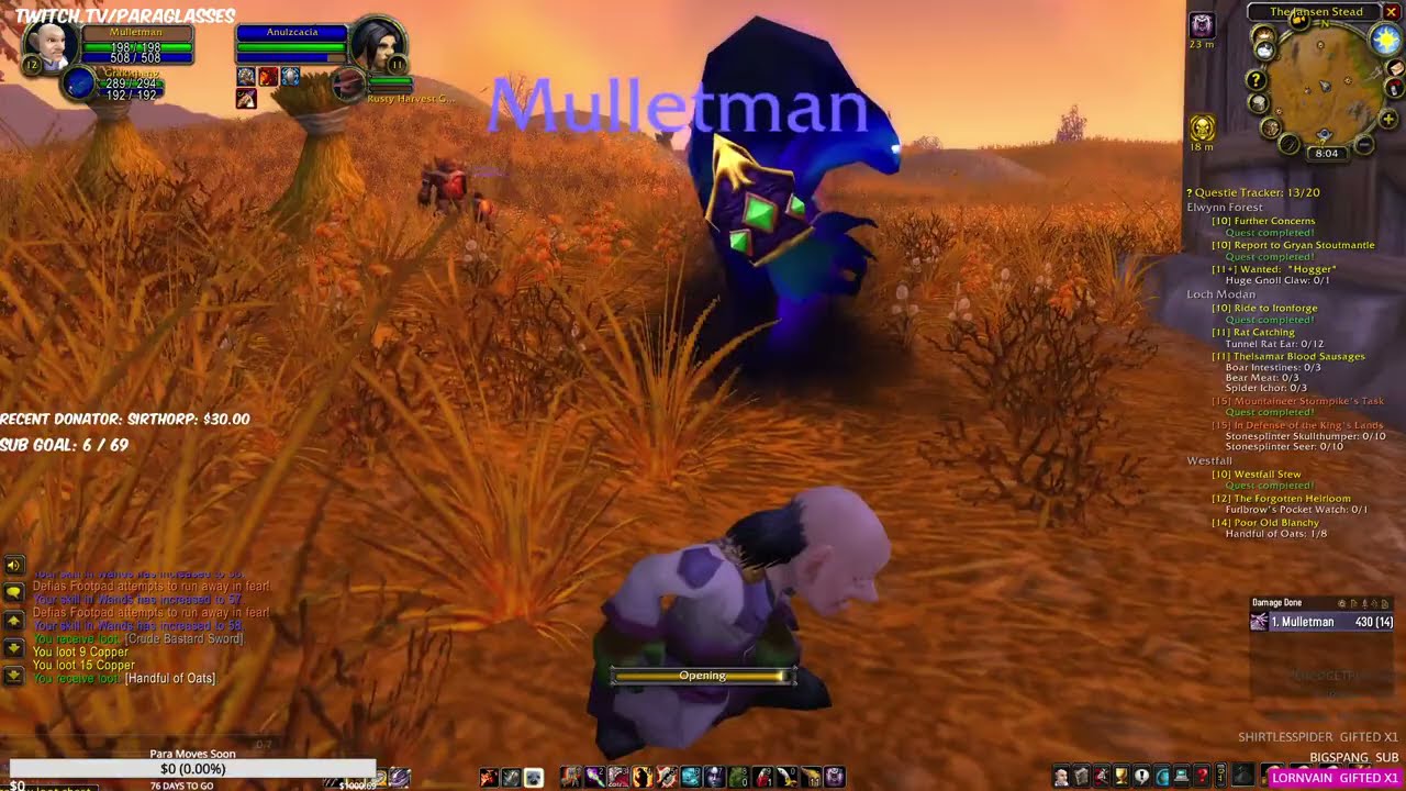 Raid Boss Hogger - Classic WoW Leveling - YouTube