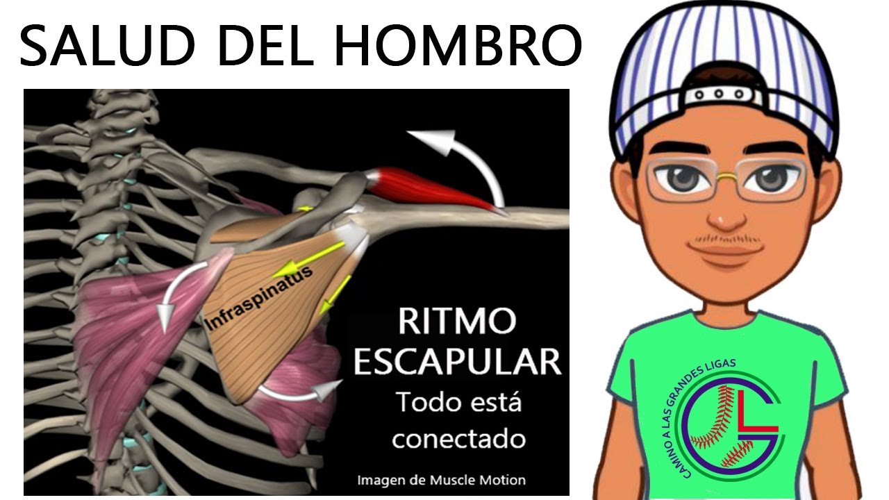 Ritmo escapulo humeral / Qué es y en que consiste - Beisbol Menor - YouTube