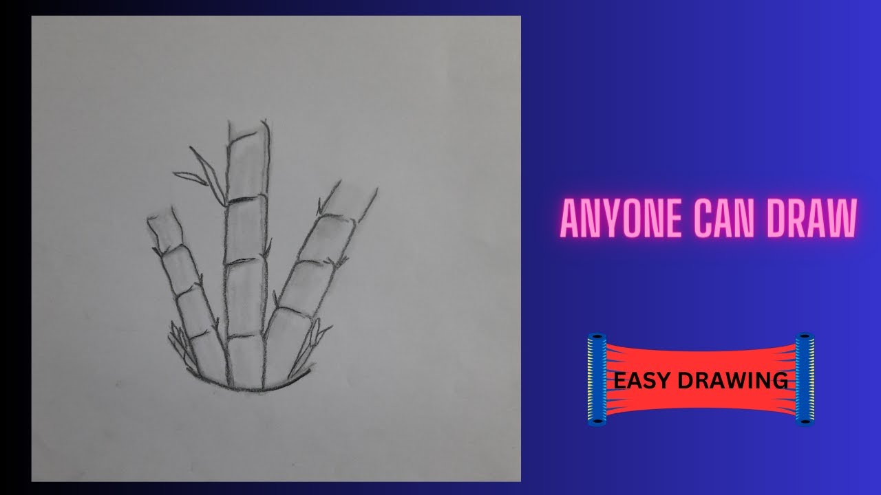 How to draw a Bamboo | Pencil sketch for beginners | Easy drawing for ...