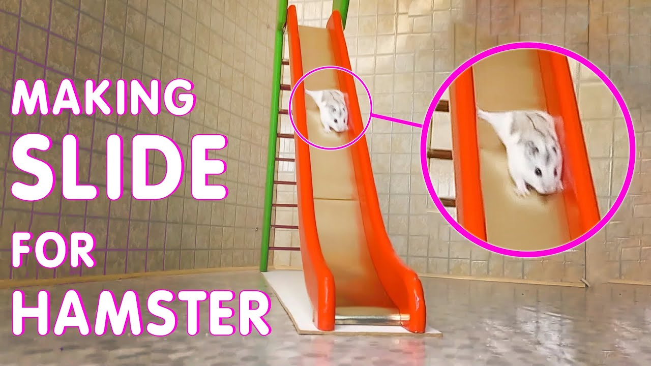 MAKING SLIDE FOR HAMSTER - YouTube
