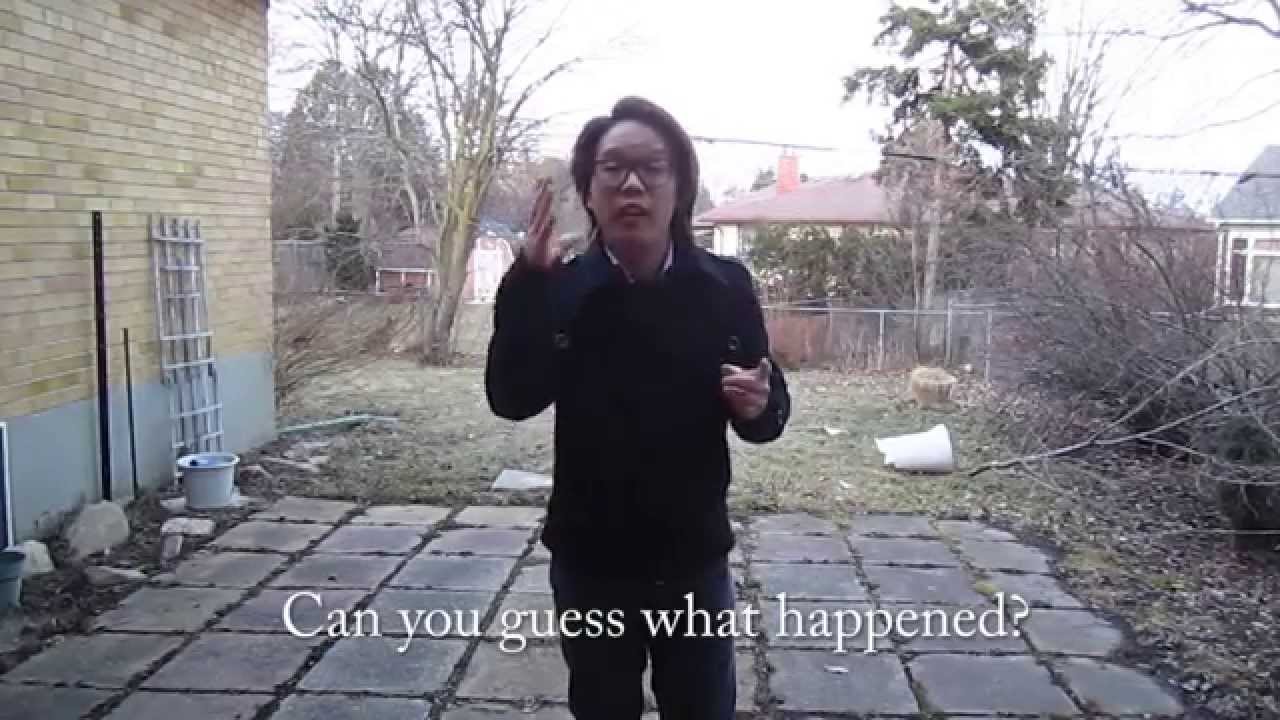 ASL D classifier story (Alphabet Month) - Kendrew - YouTube