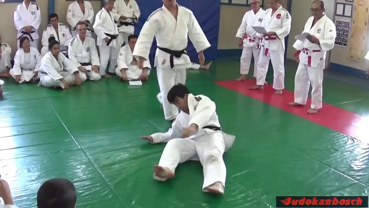 56 Tai otoshi e Sassae tsurikomi ashi - YouTube