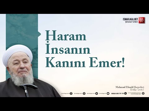 Hikmetli Sözler: 59) Haram İnsanın Kanını Emer! - Mahmud Ustaosmanoğlu Efendi Hazretleri