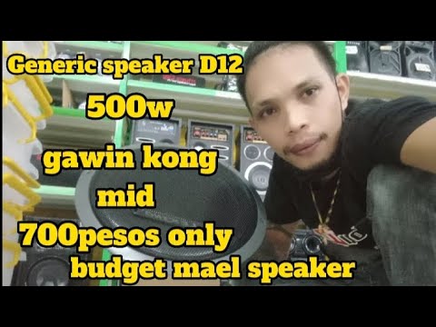 generic speaker hi-woofer D12 500w gawin Kong Pang mid,#budget meal ...