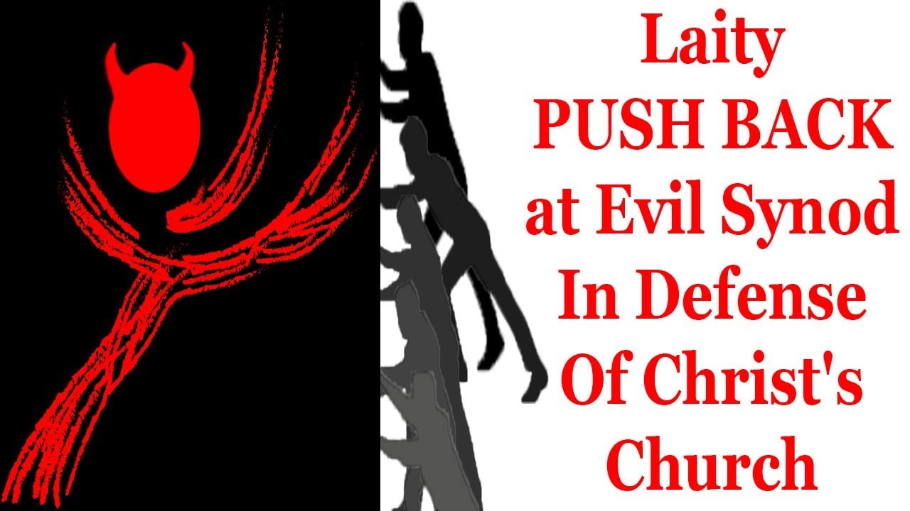 Laity PUSH BACK HARD at Evil Synod In Defense Of Christ's Church - YouTube