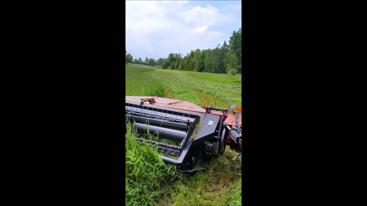 John Deere 3140 Cutting Hay w/ MacDon 4000 Haybine - YouTube