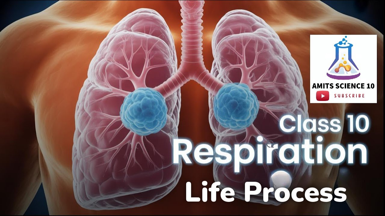 Life Process Respiration | Class 10 Science CBSE | Amit'sScience10 ...