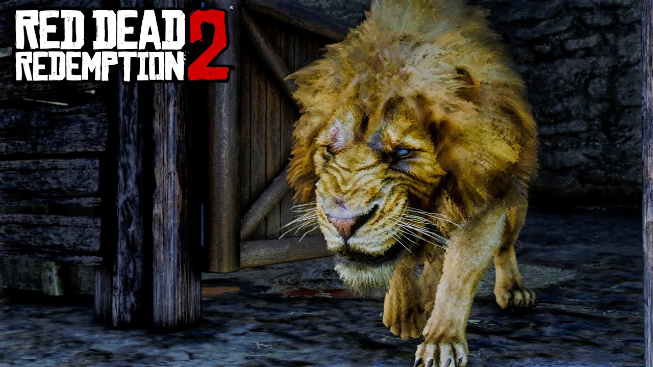 This happen if you didn't attack that lion - RDR2 - YouTube