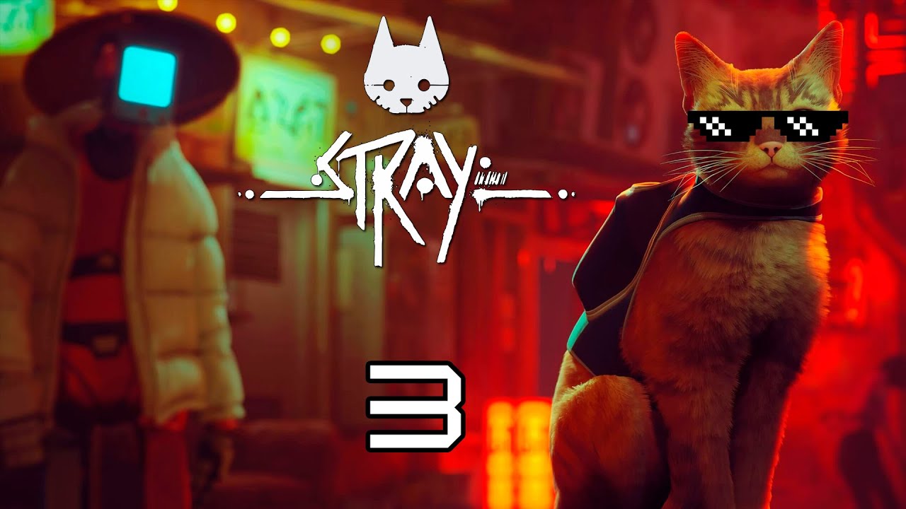 STRAY: Final 😼 - YouTube