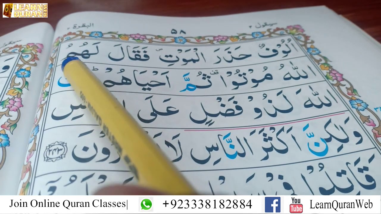 Surah Baqarah Ayat 242 243 With Proper Tajweed Word By Word