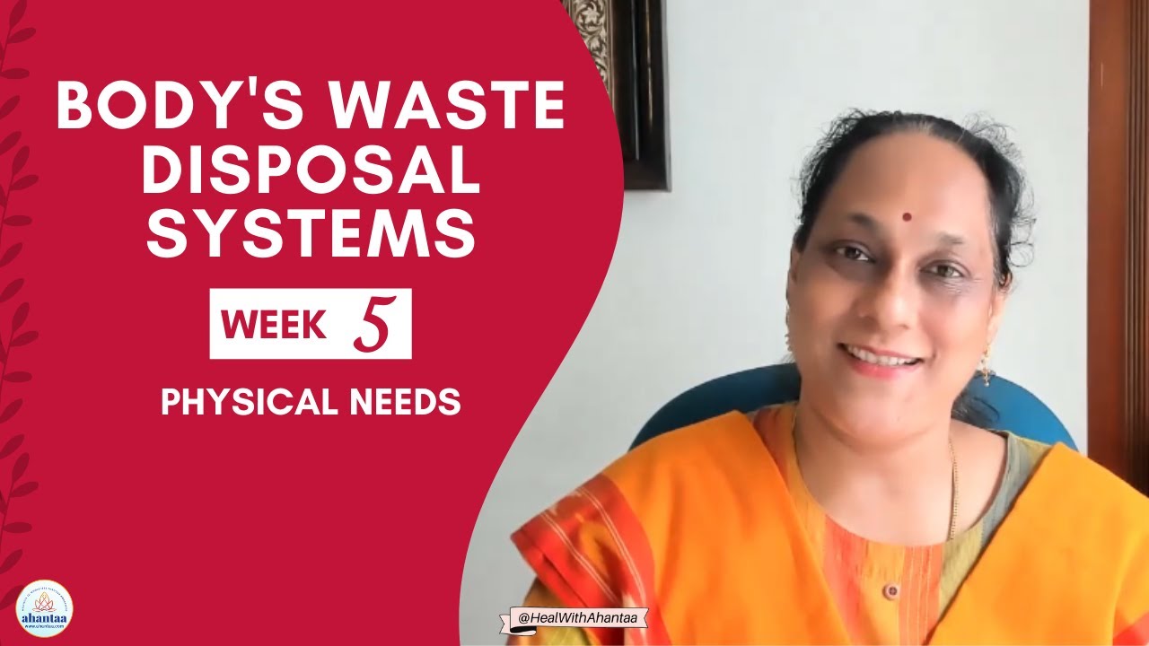 Body's Waste Disposal Systems - YouTube
