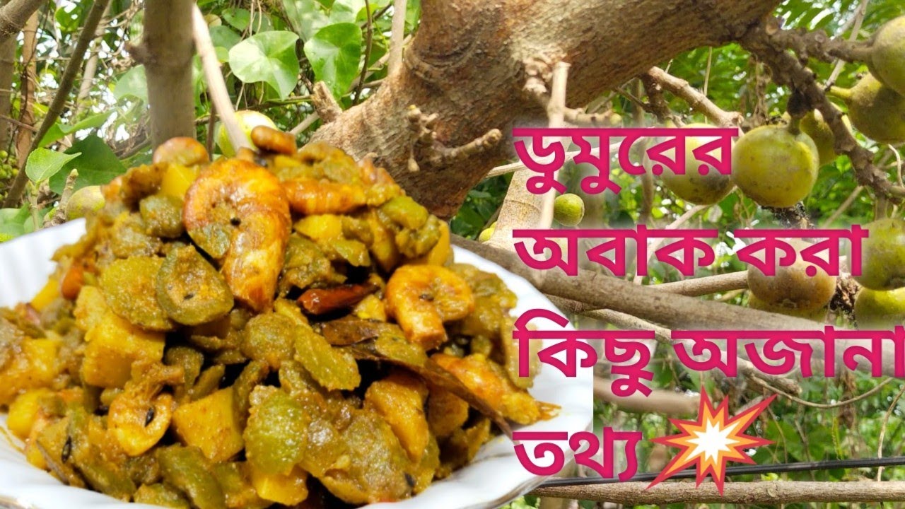 Dumur recipe in bengali | ডুমুরের ডালনা | ডুমুর রান্নার রেসিপি ...
