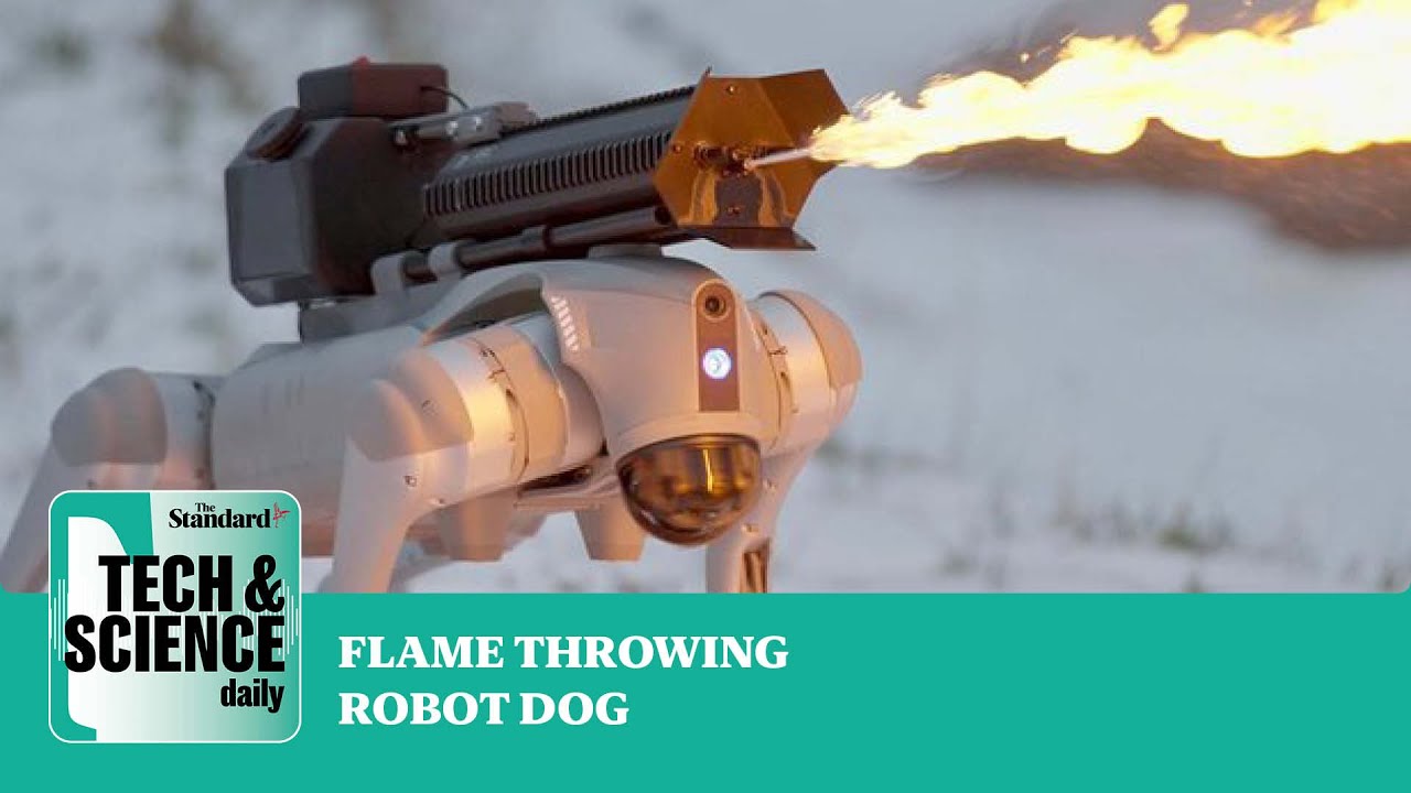 The flame-throwing robot dog named Thermonator for sale in America ...