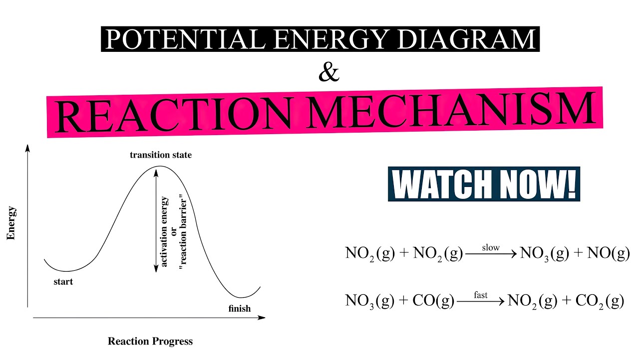 How to Propose a Reaction Mechanism using Potential Energy Diagram ...