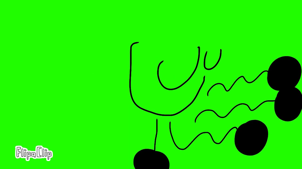 Object Show Wiggle Green Screen (FREE TO USE NOW) - YouTube