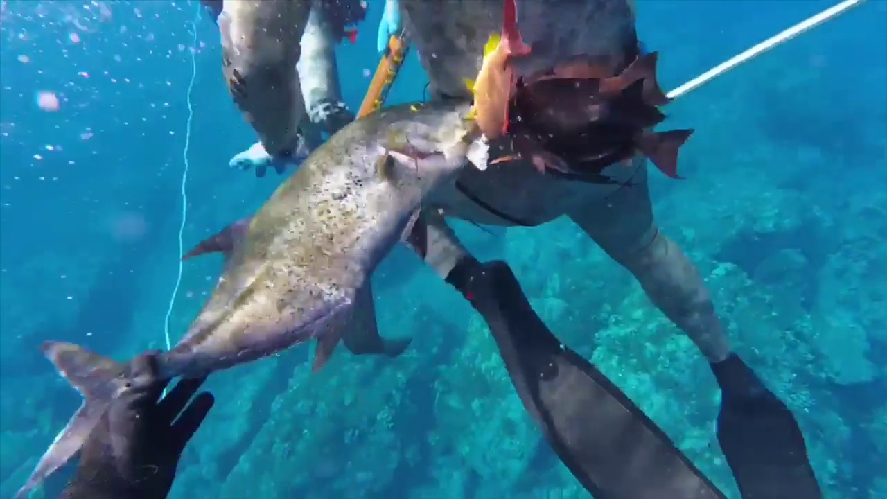 Spearfishing In Hawaii 2018 - YouTube