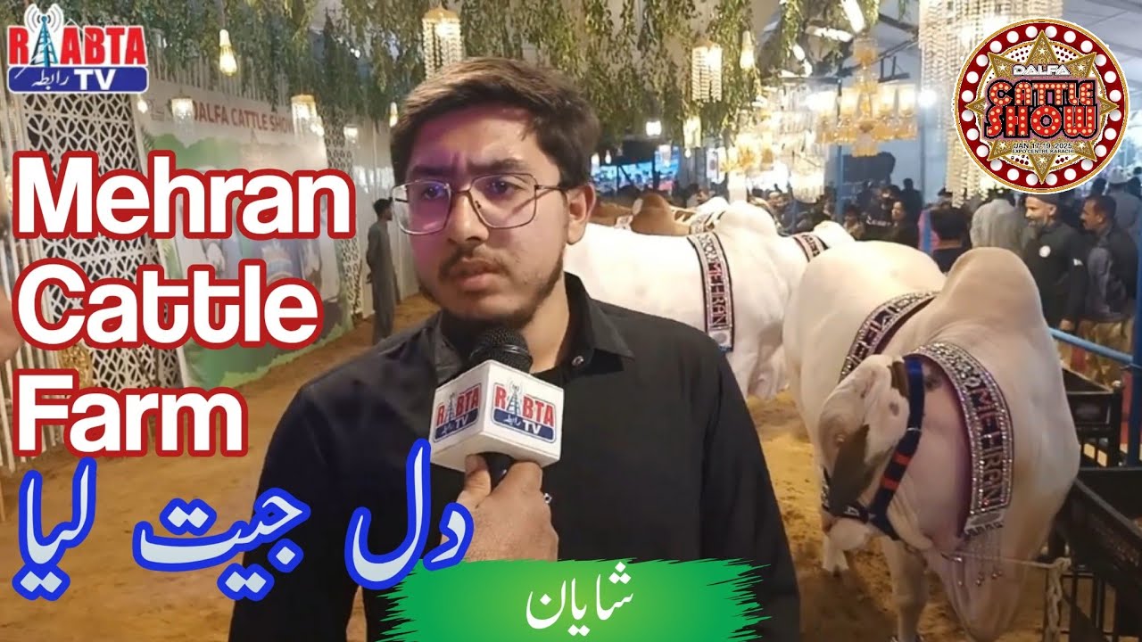 Won the hearts | Mehran Cattle & Dairy Farm | Shayan | DALFA Cattle ...