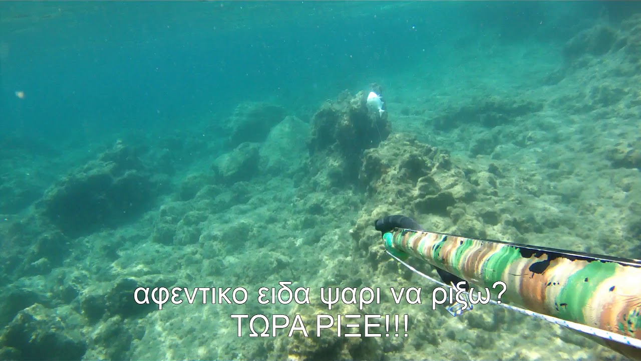 ψαροντουφεκο ανορθογραφο καρτερι spearfishing - YouTube