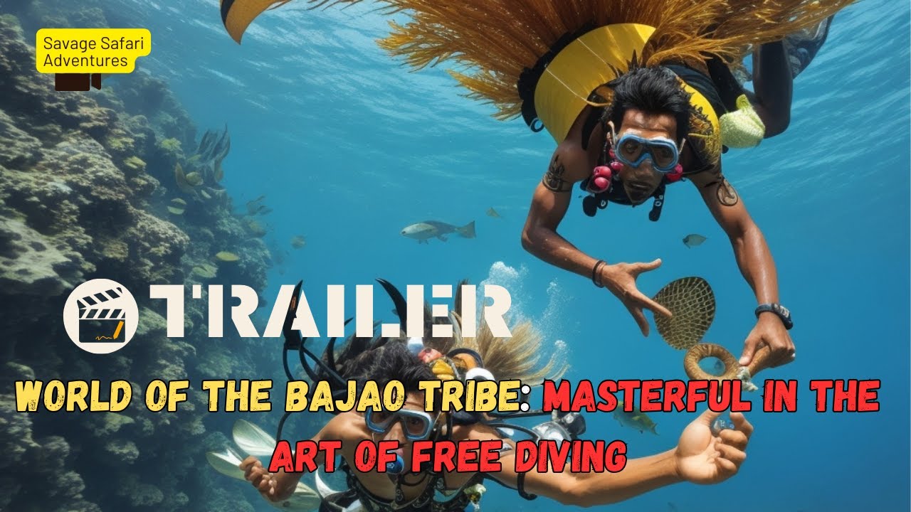 World of the Bajao Tribe: Masterful in the Art of Free Diving #ocean # ...