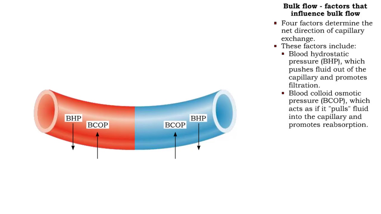 Bulk Flow Factors That Influence Bulk Flow YouTube bulk-flow-factors-that-influence-bulk-flow-youtube