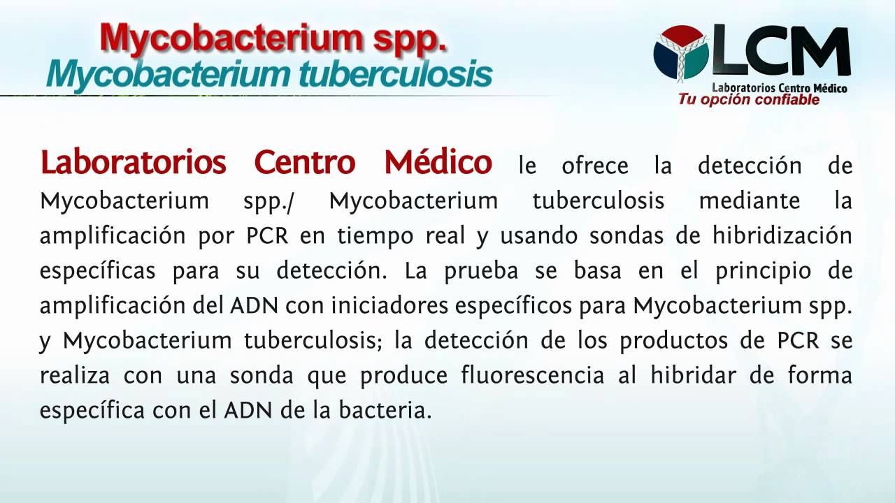 Junio canal informativo - YouTube