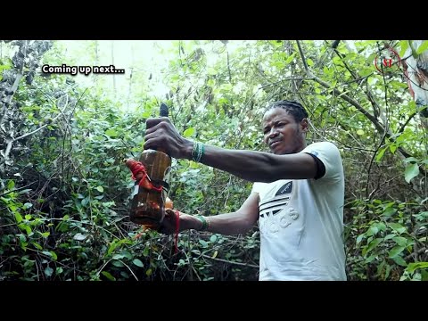 Street Journal | His life Changed After Losing His Job Then the Sangoma Found This #streetjournal58