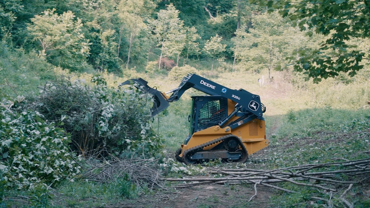 Silvopasture for Grazing Cows - Elevated E4 - YouTube