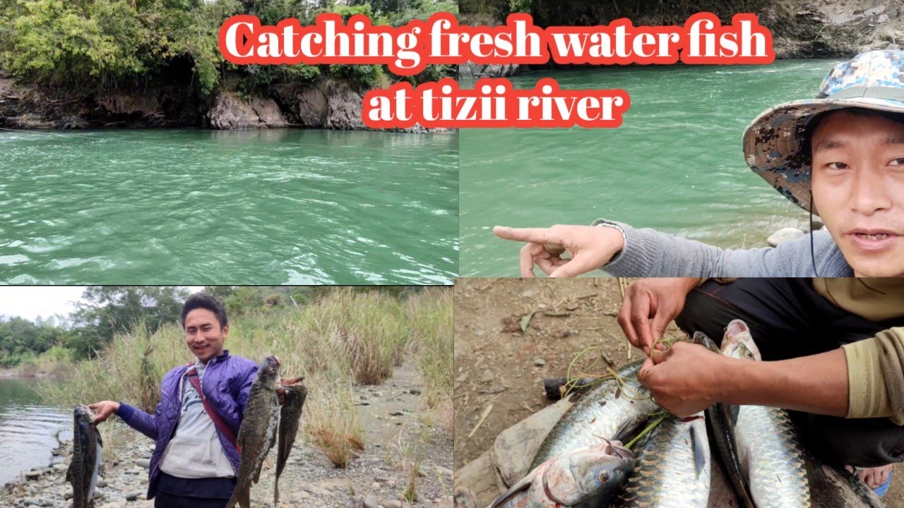 catching Big fresh water fish at tizii river - YouTube