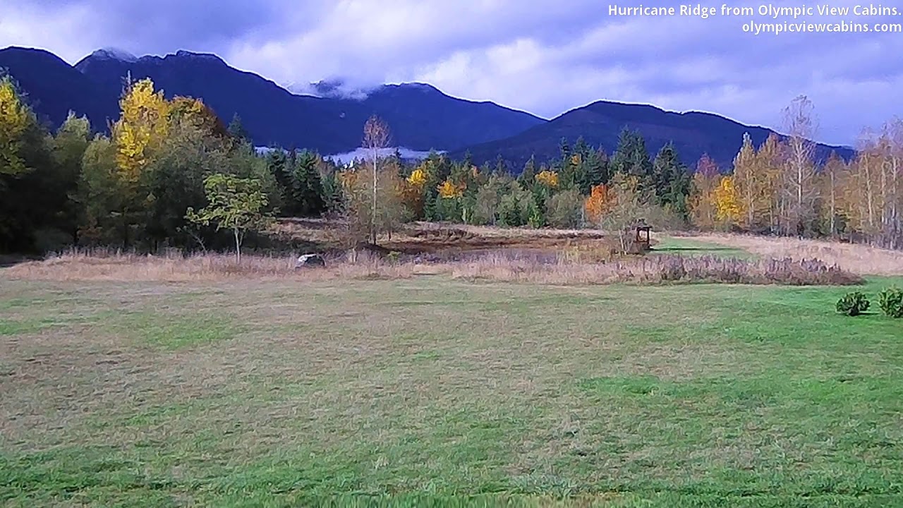 2019-10-17 Olympic View Cabins Hurricane Ridge Cam - YouTube