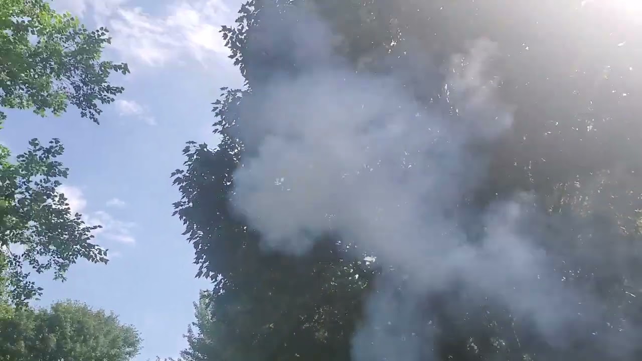 37mm Federal Laboratories Riot Gun and Bird Bomb - YouTube