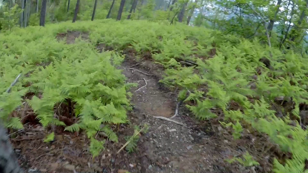 Testing the 29er Starling Sturn down the Roots Track - YouTube