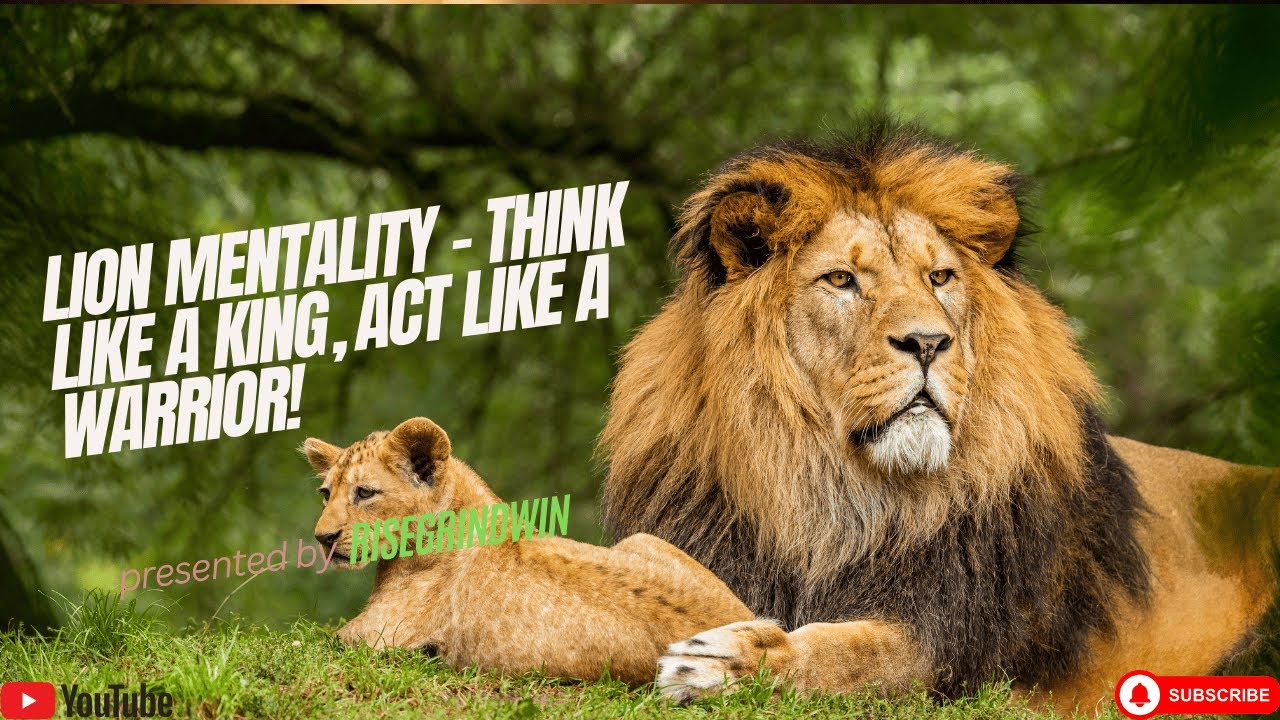 LION MENTALITY – The Mindset of a King | Powerful Motivational Speech ...
