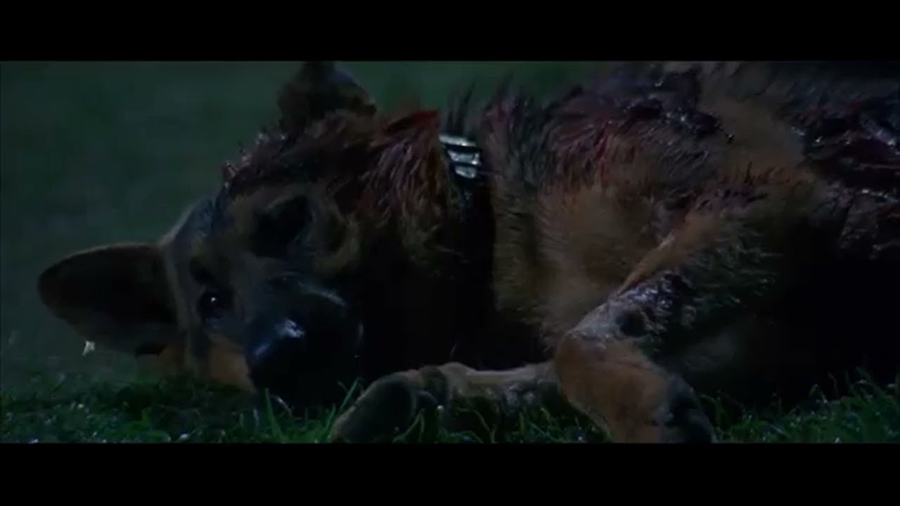 bad moon (1996) - thor pushes the werewolf out the window - YouTube