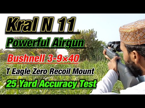 kral N11 Full Review | Kral N11 Accuracy Test 25 yard | Powwrfull Airgun | Raees Ahmad Official