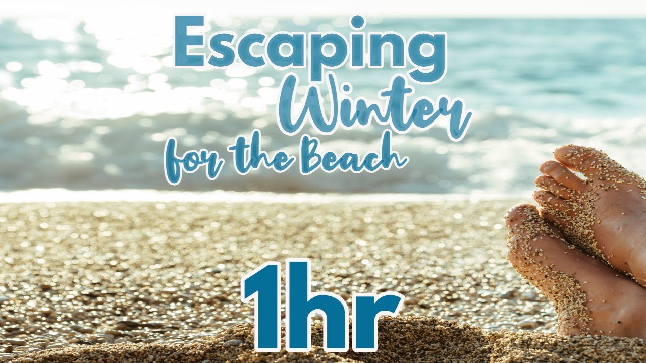 Escape winter: Tropical paradise relaxation on an island beach | 1 Hour ...