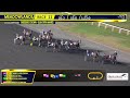 United States Trotting Association