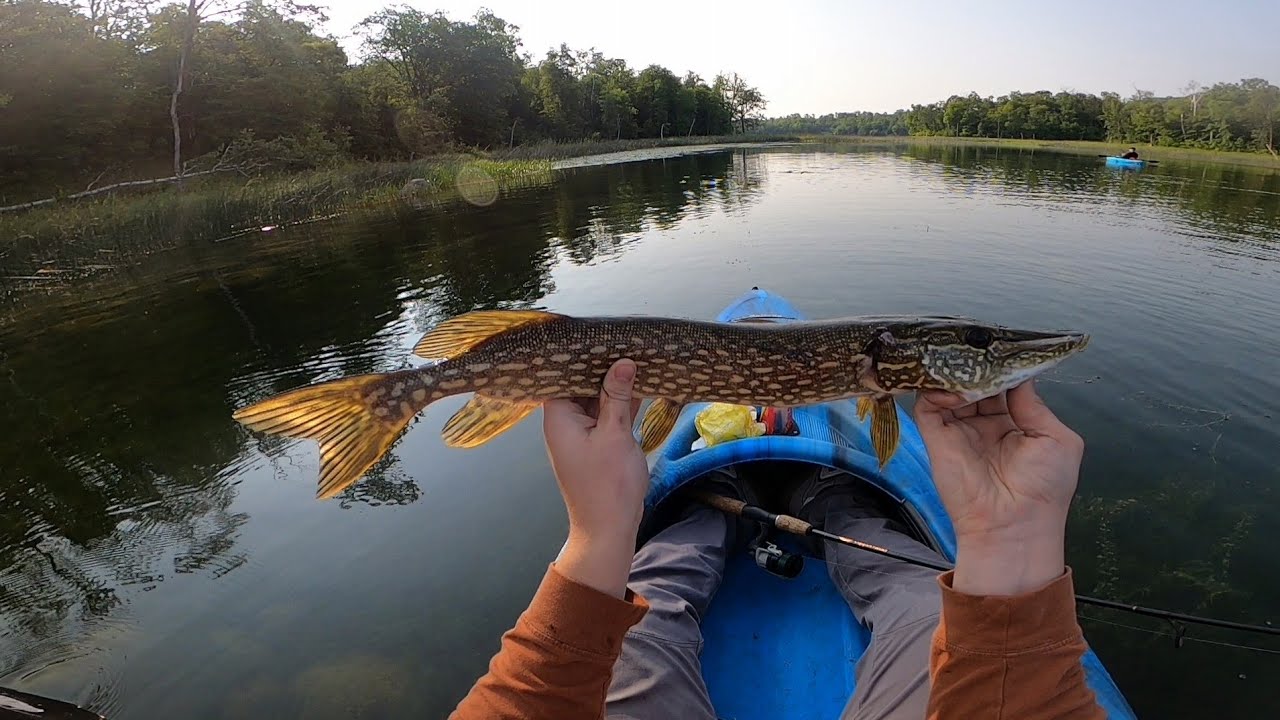 Catching Little Pike and Losing a Big Bass - YouTube
