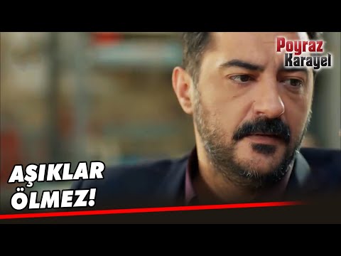 Zülfikar, Meltem'i Duygulandırdı! - Poyraz Karayel 52. Bölüm