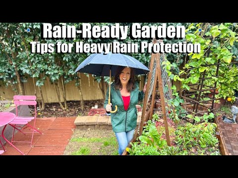 Rain-Ready Vegetable Garden: Quick Tips for Heavy Rain Protection - YouTube