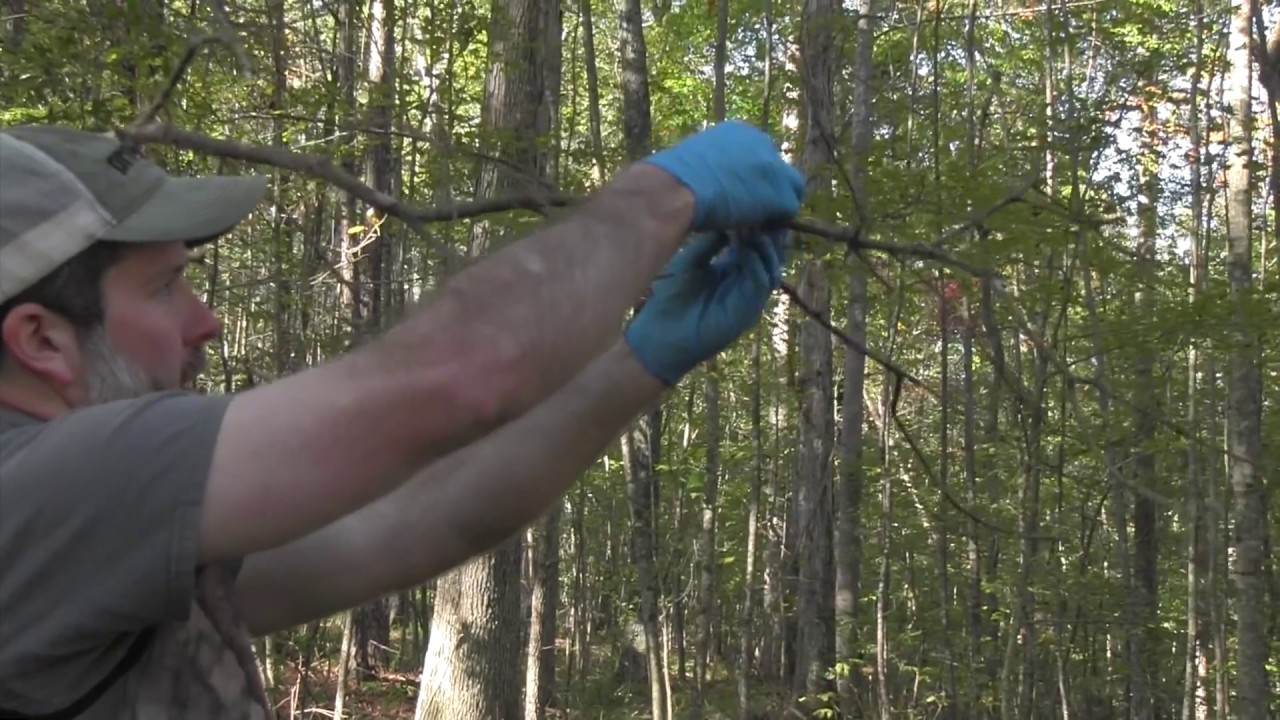 How to make a mock scrape - YouTube