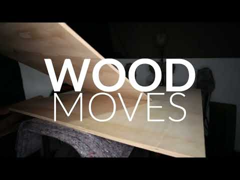 SD056 WOOD MOVES – HISSandaROAR