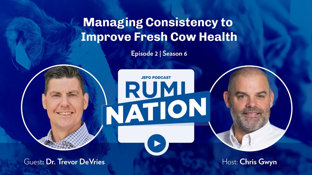 S6EE | Managing Consistency to Improve Fresh Cow Health with Dr. Trevor DeVries - YouTube