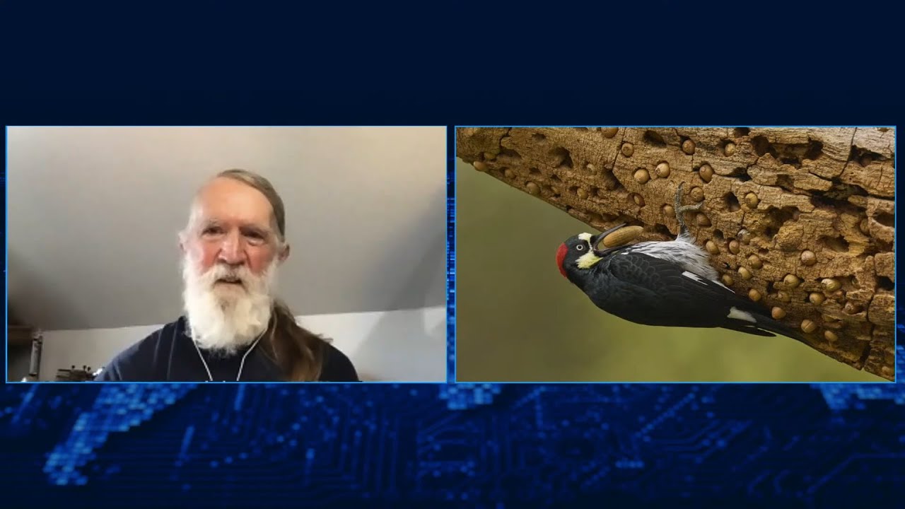 "Birding is Local" with Doug Herr - YouTube