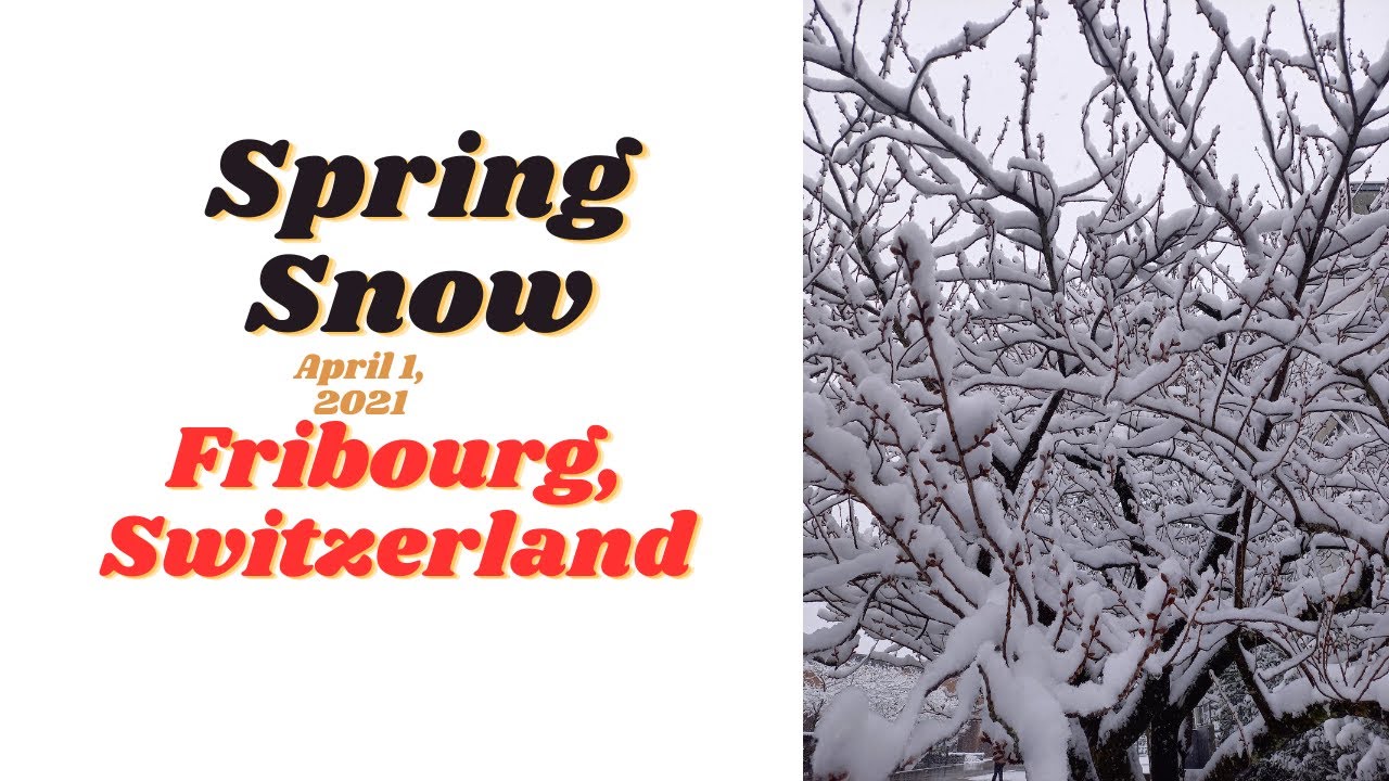 EFil TV ǀ Spring Snow in the Woods of Fribourg, Switzerland ǀ April 1 ...