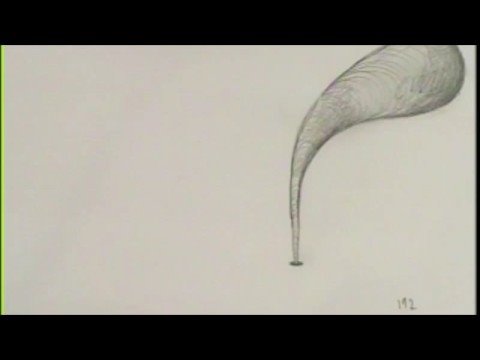 Metamorphosis Animation Study - YouTube