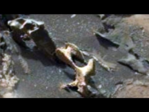 Nasa Mars Bone